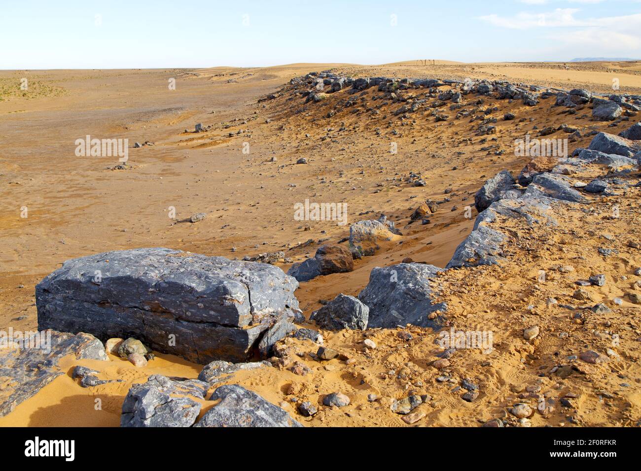 Bush old fossil in the desert Stock Photo - Alamy