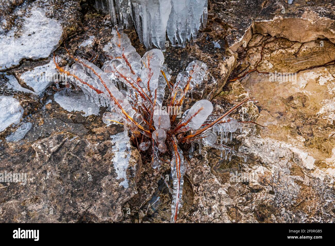 Fathom Five National Park Grey Sauble County Bruce Peninsula Ontario ...