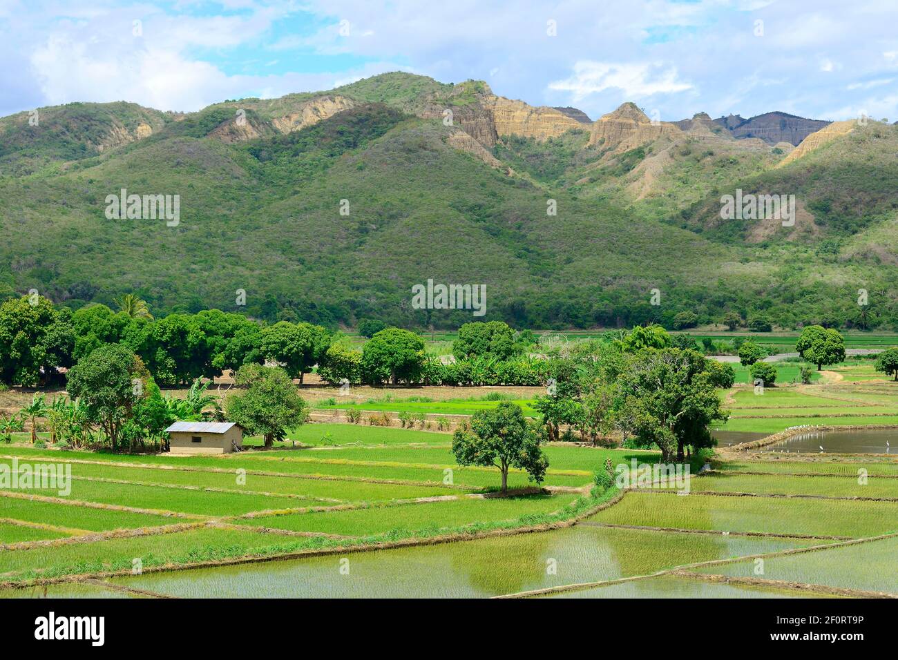 Peru peruvian amazonas landscape hi-res stock photography and images ...