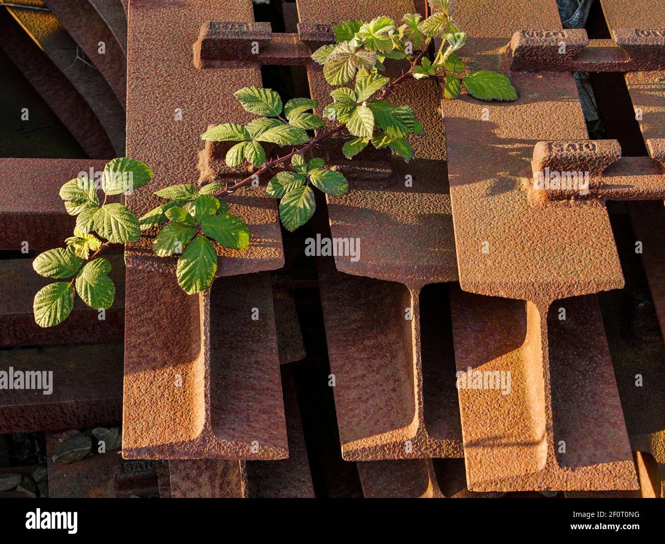 Rusty steel beams, H-beams, H-beams Stock Photo - Alamy