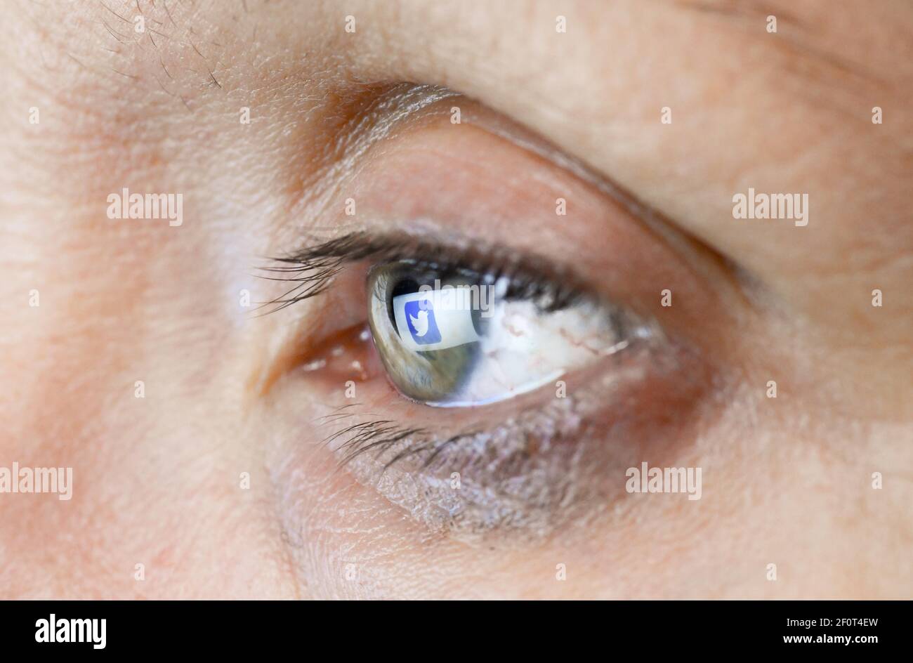 Eye, Logo Twitter Stock Photo - Alamy