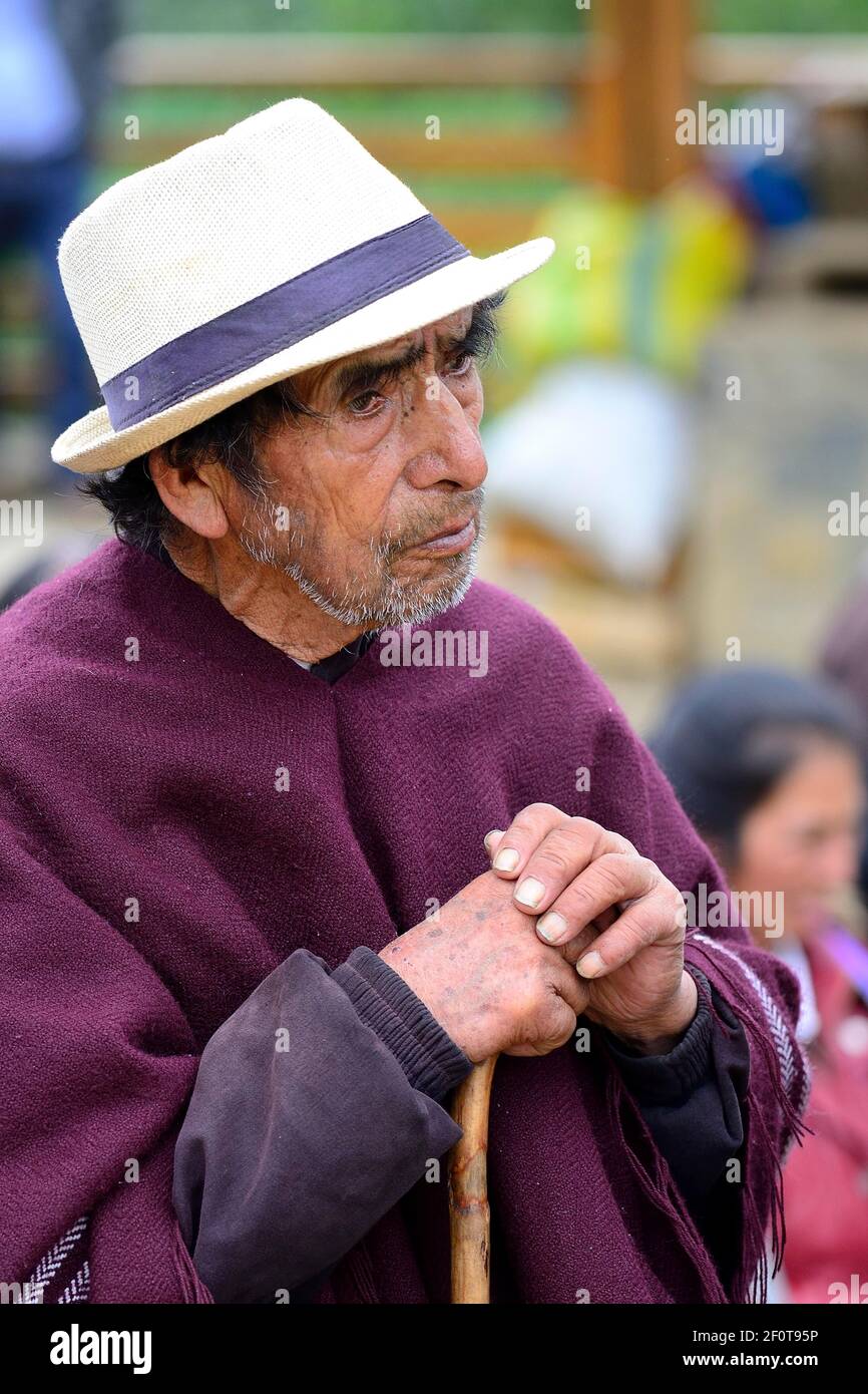 Luya amazonas hi-res stock photography and images - Alamy