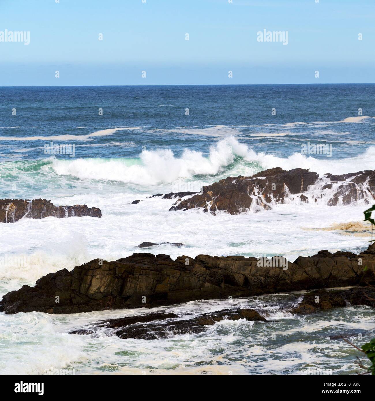 In south africa sky ocean reserve Stock Photo - Alamy