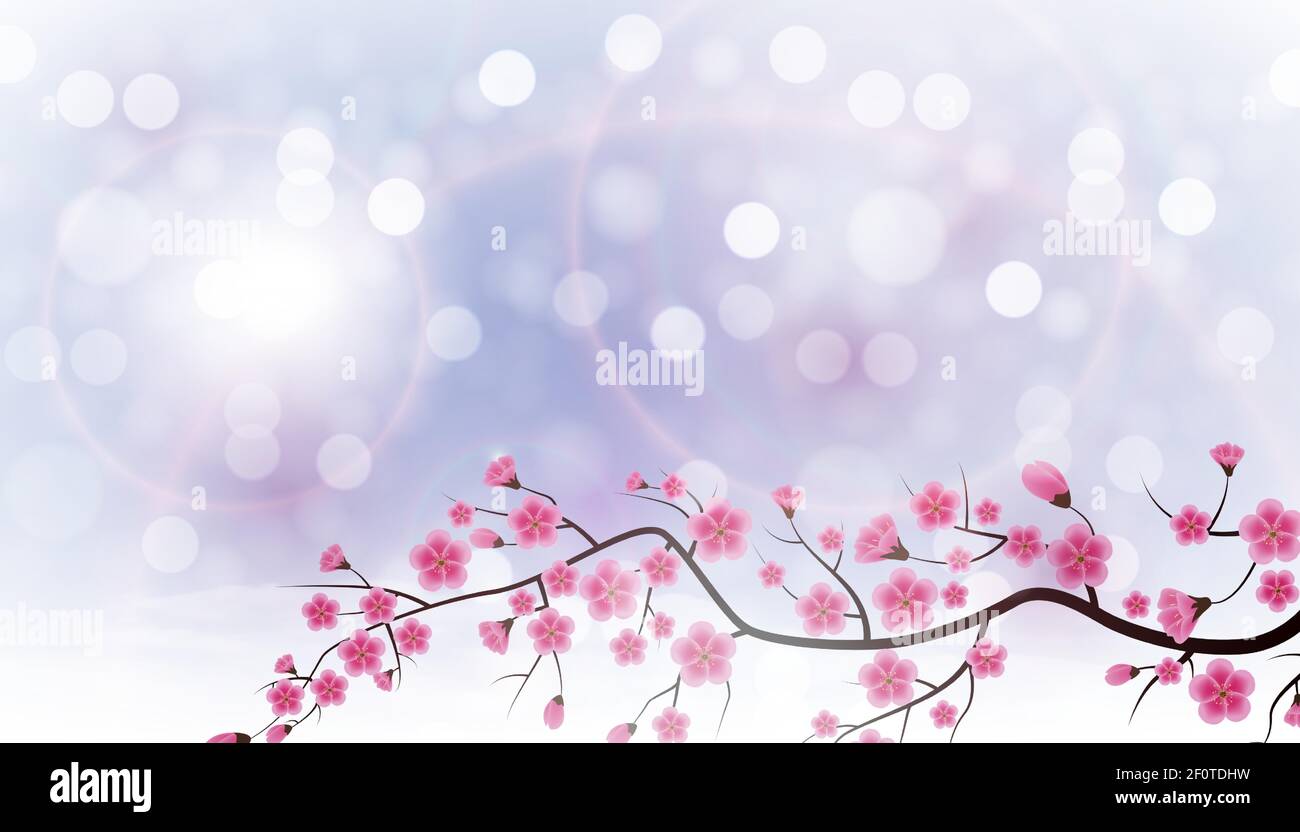 Glossy Spring Background with Sakura Flowers. Vector Illustration Stock ...