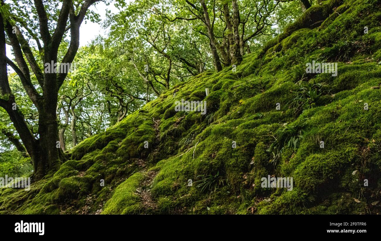 50 most beautiful mountain hi-res stock photography and images - Alamy