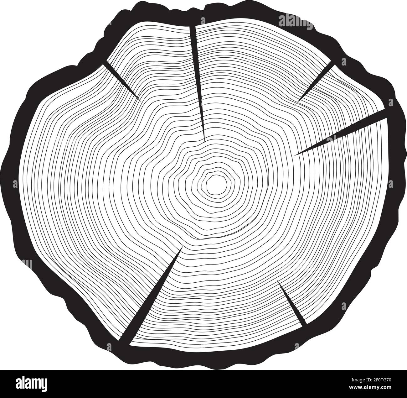 Tree rings background. Annual tree Stock Vector Image & Art - Alamy