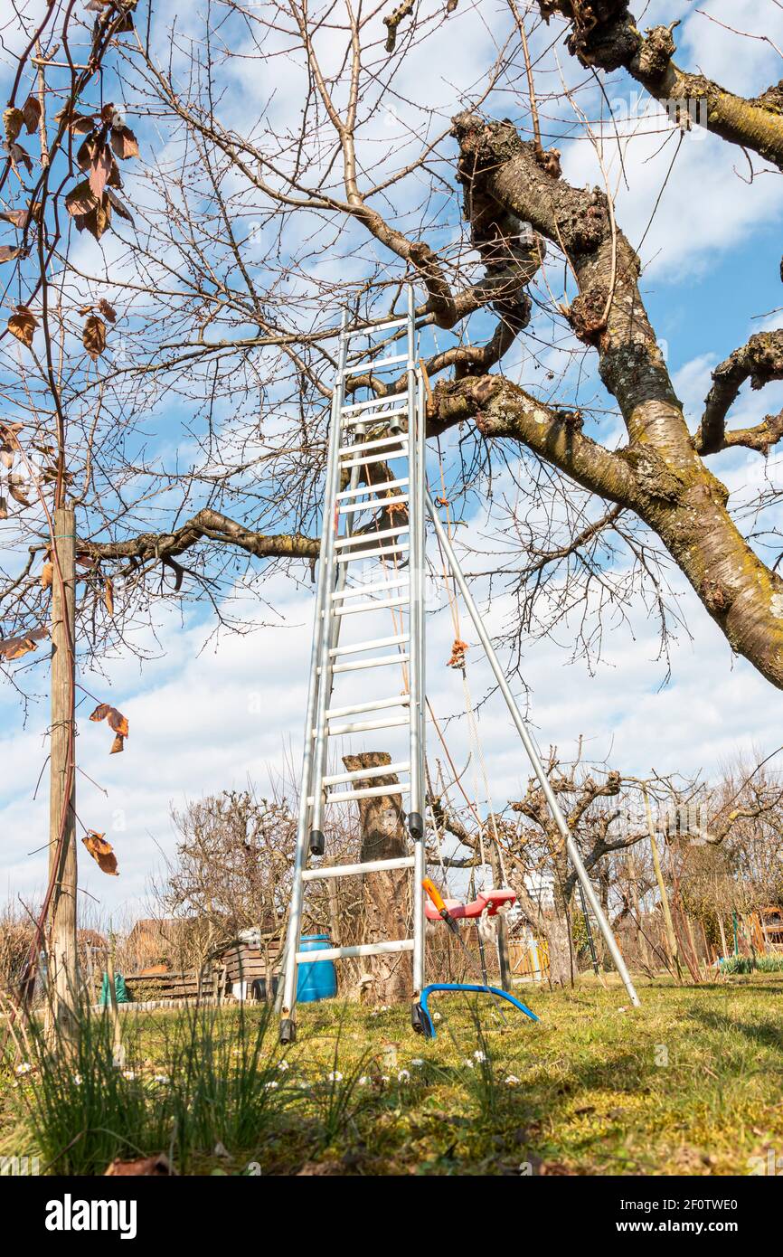 Telescopic ladder hi-res stock photography and images - Alamy