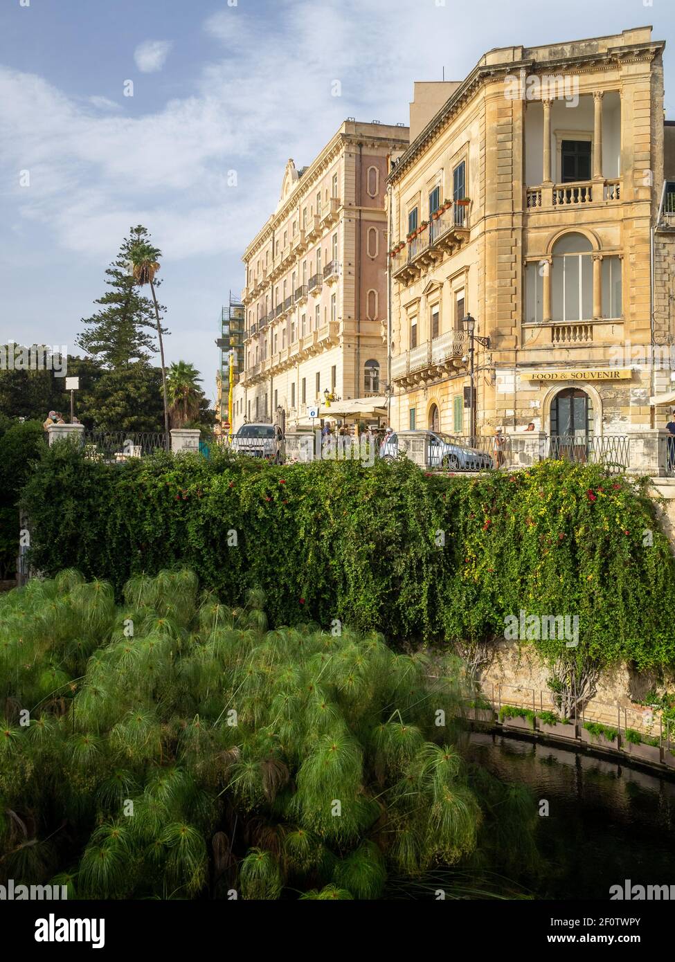 Arethusa High Resolution Stock Photography and Images - Alamy