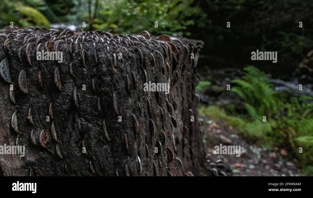 Money tree coins hi-res stock photography and images - Alamy