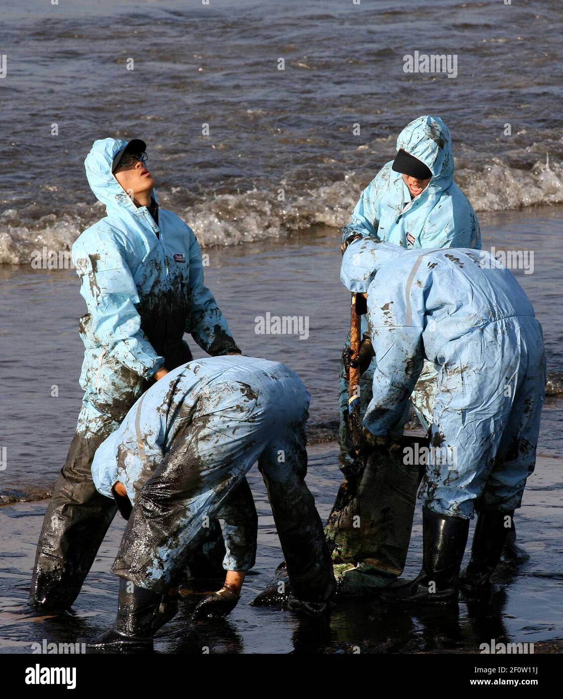 10 December 2007 - Taean, South Korea - South Korean residents try to ...