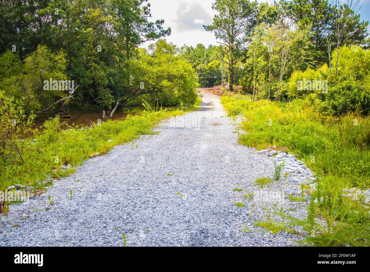 A gravel paved road in the country in the spring with a green foliage ...