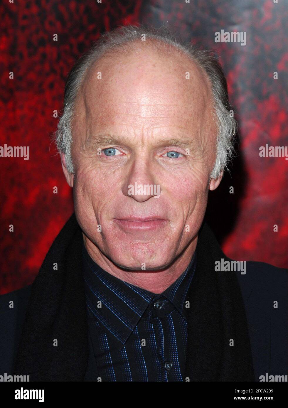 13 December 2007 - New York , NY - Ed Harris at the World Premiere of ...