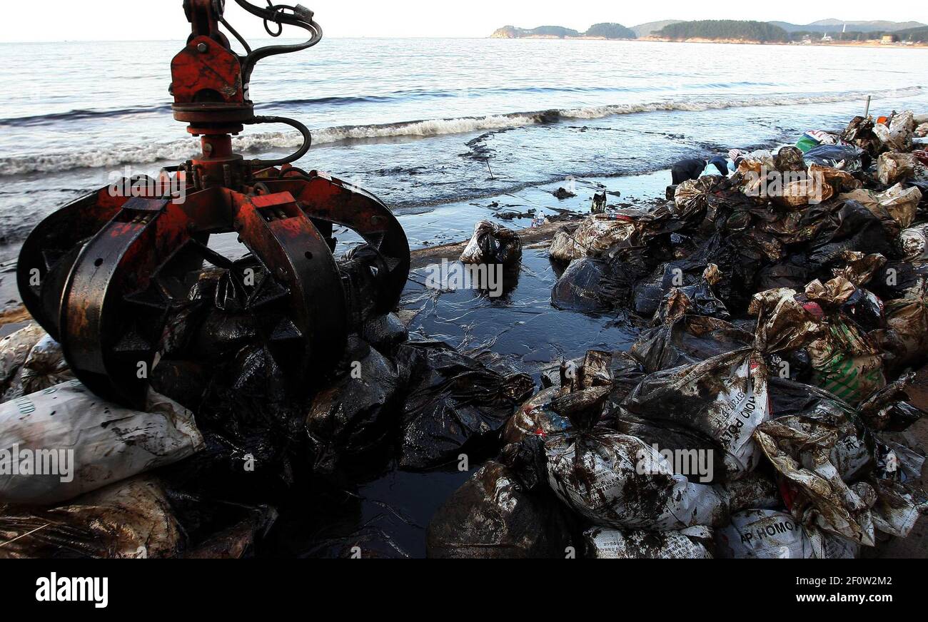 9 December 2007 - Taean, South Korea - South Korean residents try to ...