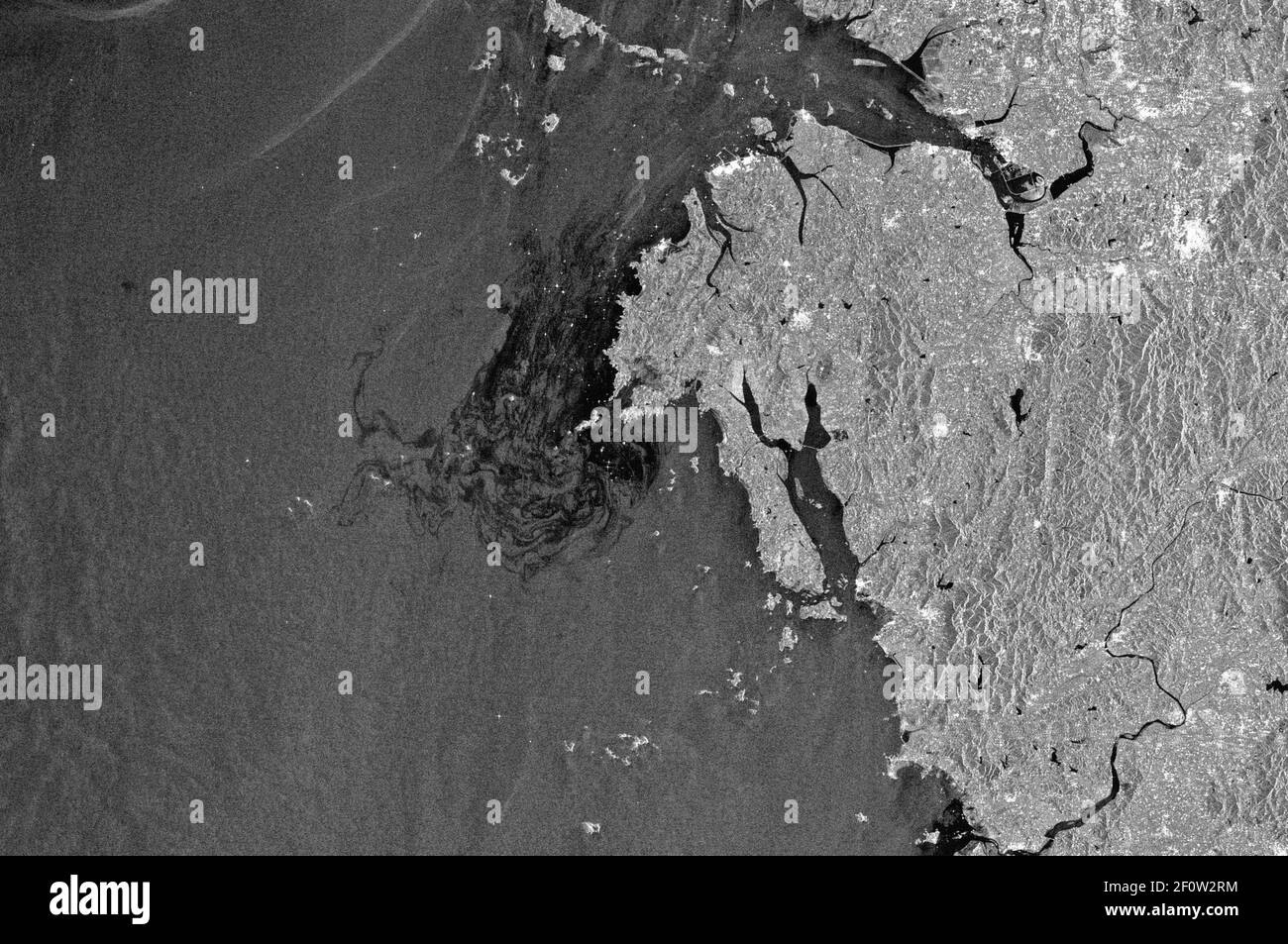 11 December 2007 - Seoul, South Korea - Crude oil from the wrecked ...