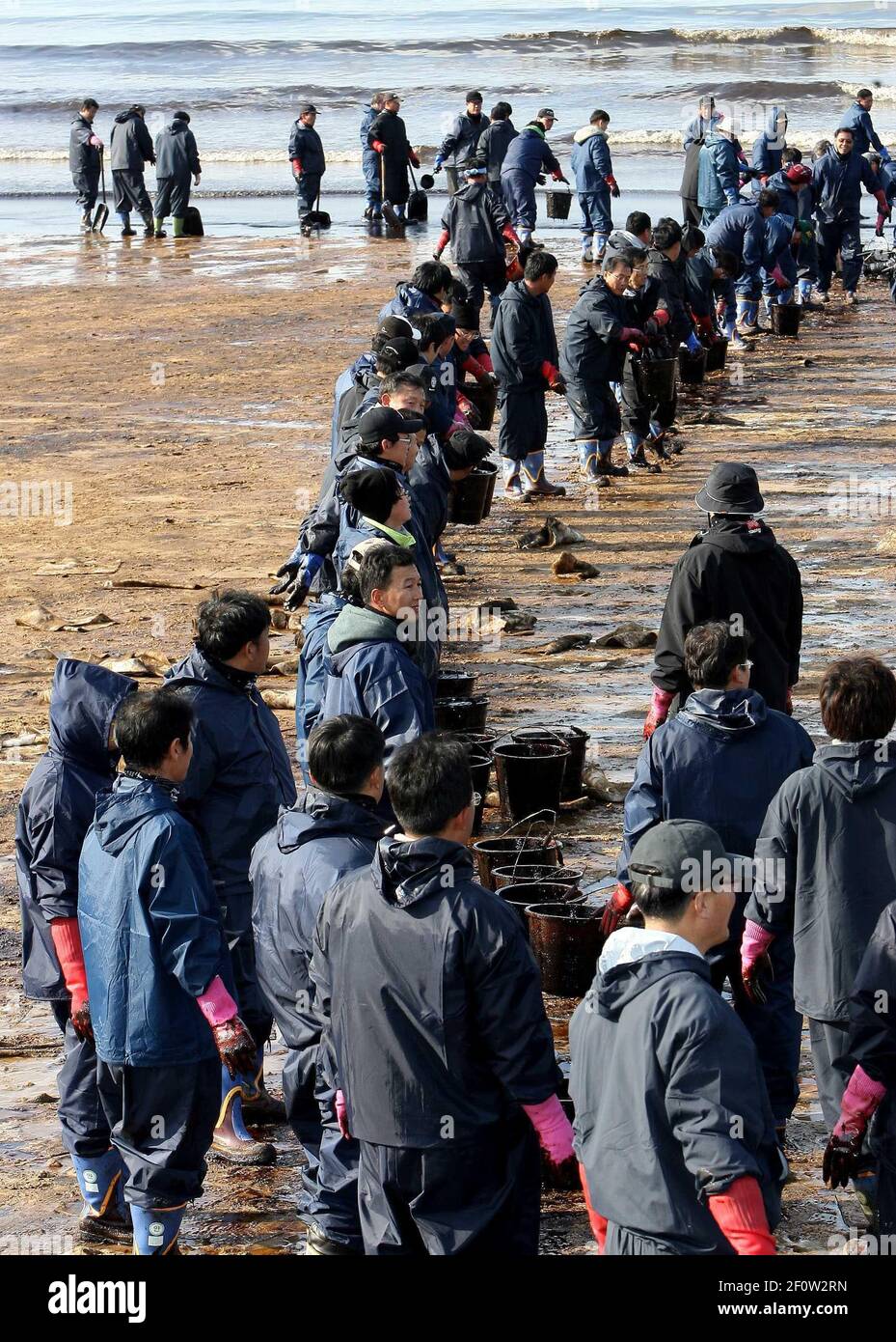 9 December 2007 - Taean, South Korea - South Korean residents try to ...