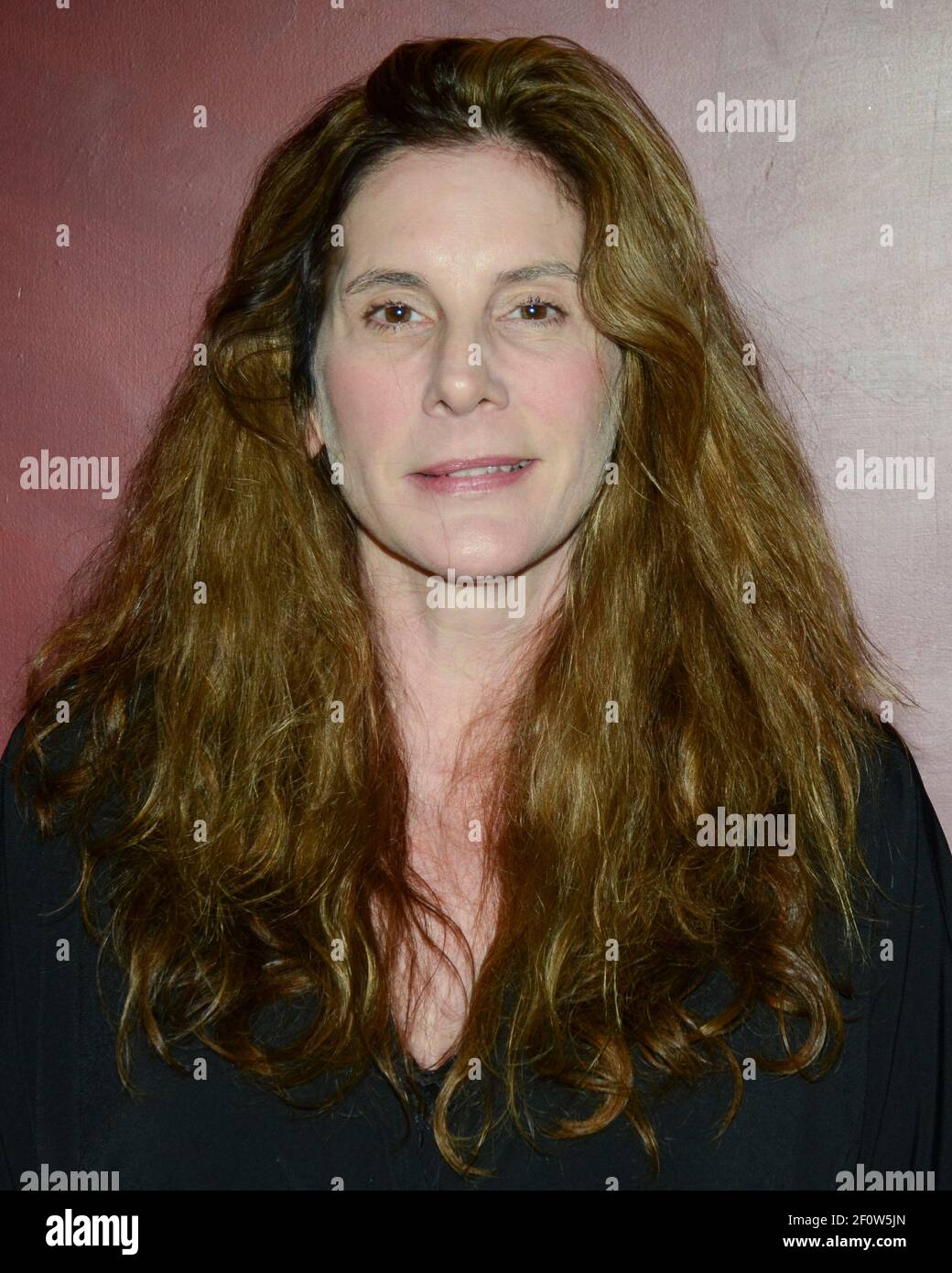October 31, 2017, Hollywood, California, USA: Amy Williams attends a ...
