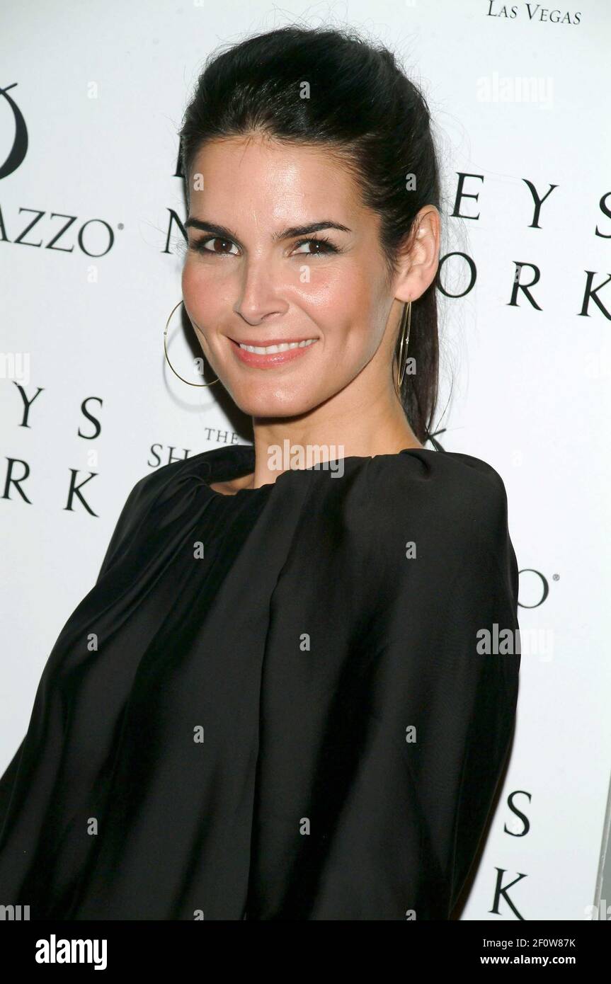 Angie Harmon - 18 January 2008 - Las Vegas, Nevada - "The Palazzo Las ...