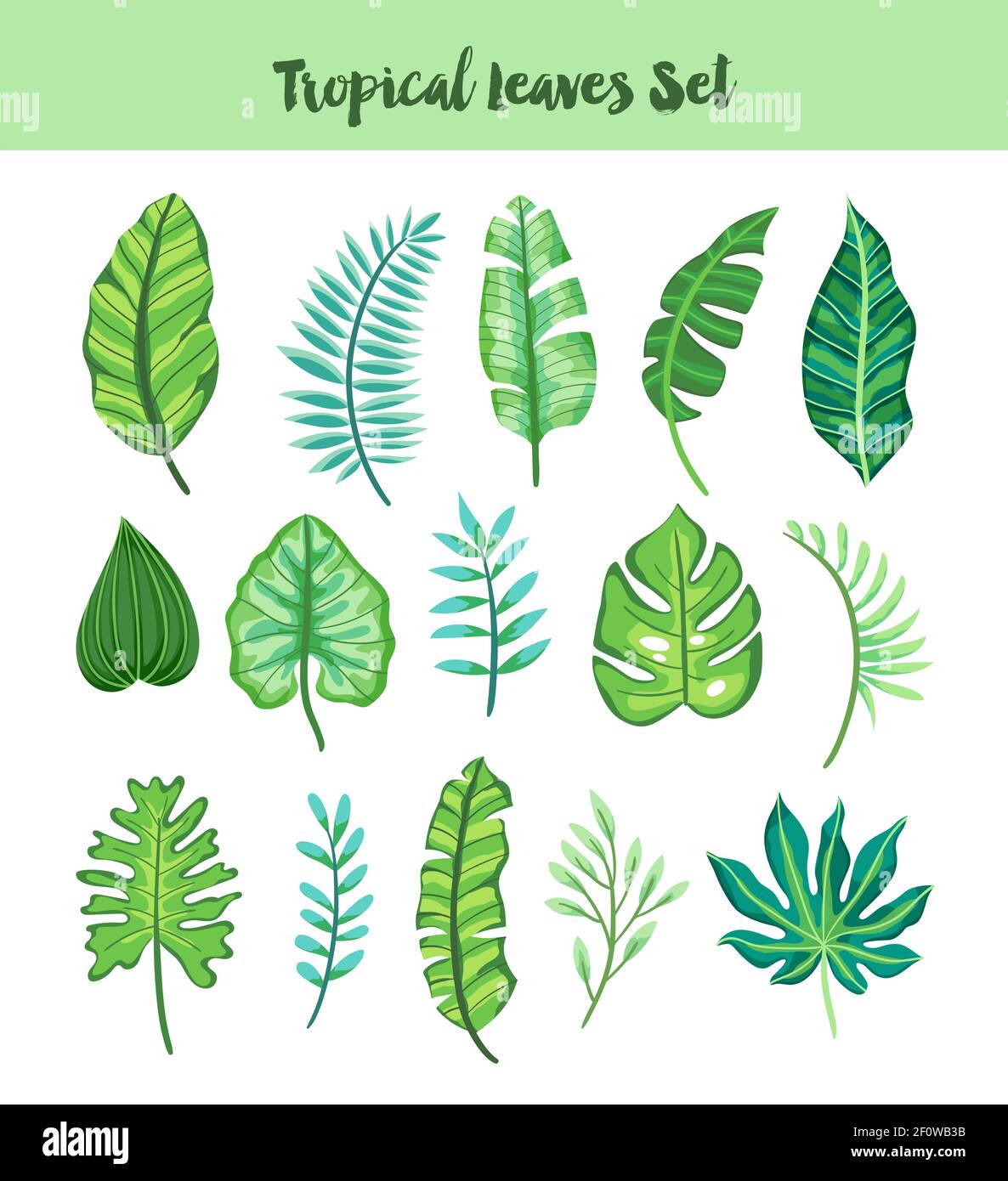 Isolated Hand Drawn Tropical Leaves Set. Vector illustration Stock ...