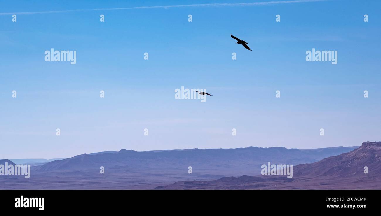 Black crows in red sky hi-res stock photography and images - Alamy