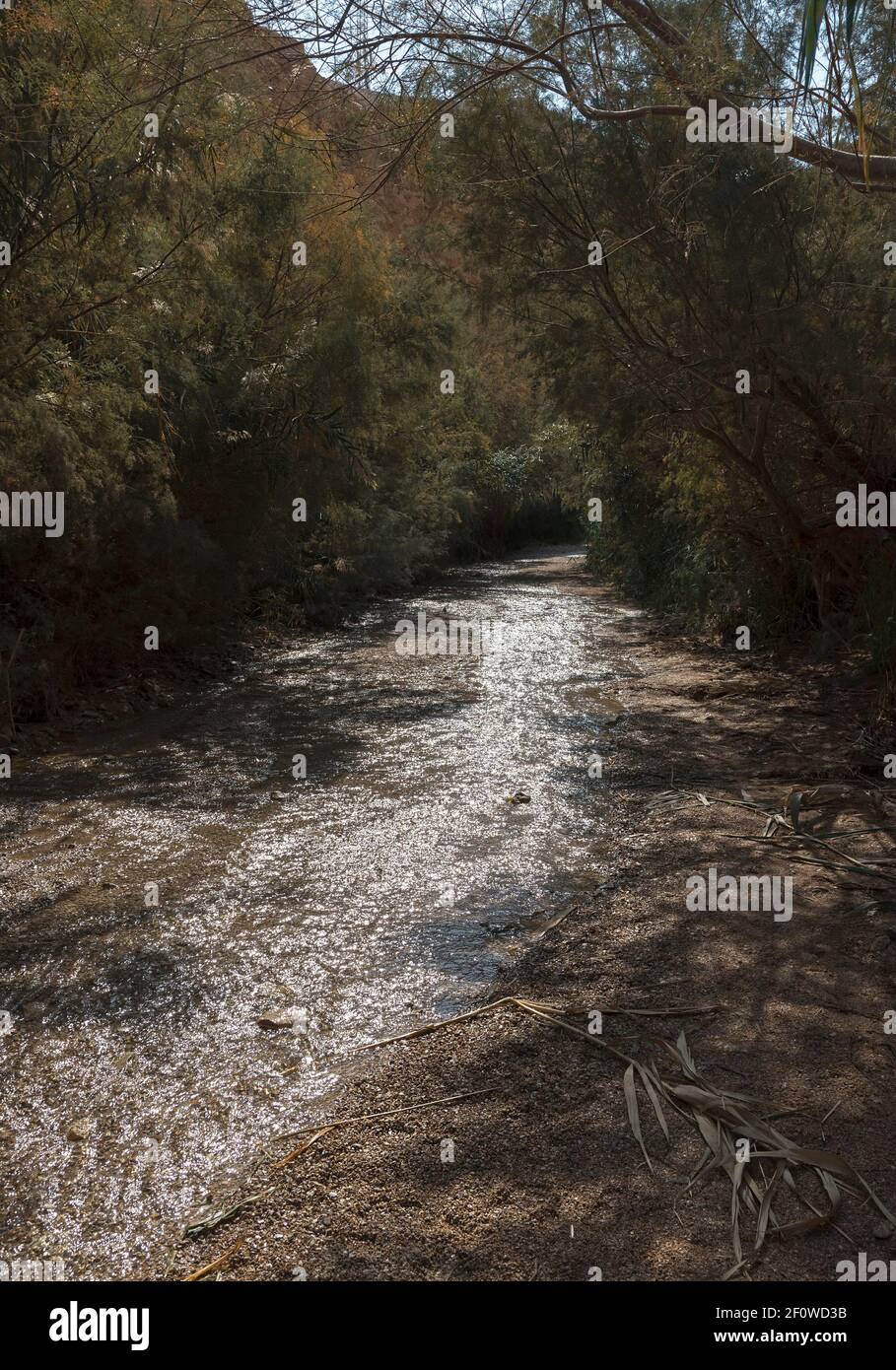 Desert oasis shimmering hi-res stock photography and images - Alamy