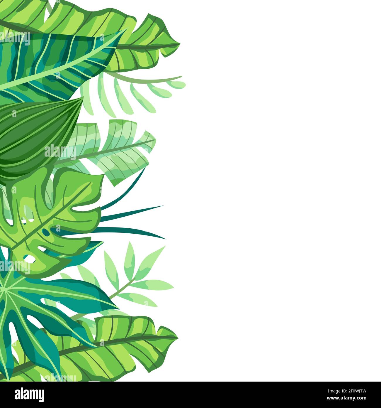 Isolated Tropical Background with leaves in the left side. Vector ...