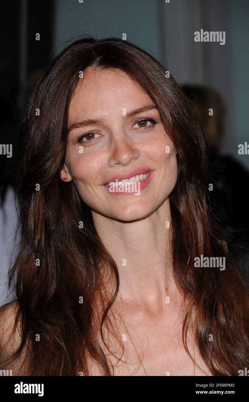 Saffron Burrows. 24 March 2008 - Hollywood, California. "Run Fat Boy ...