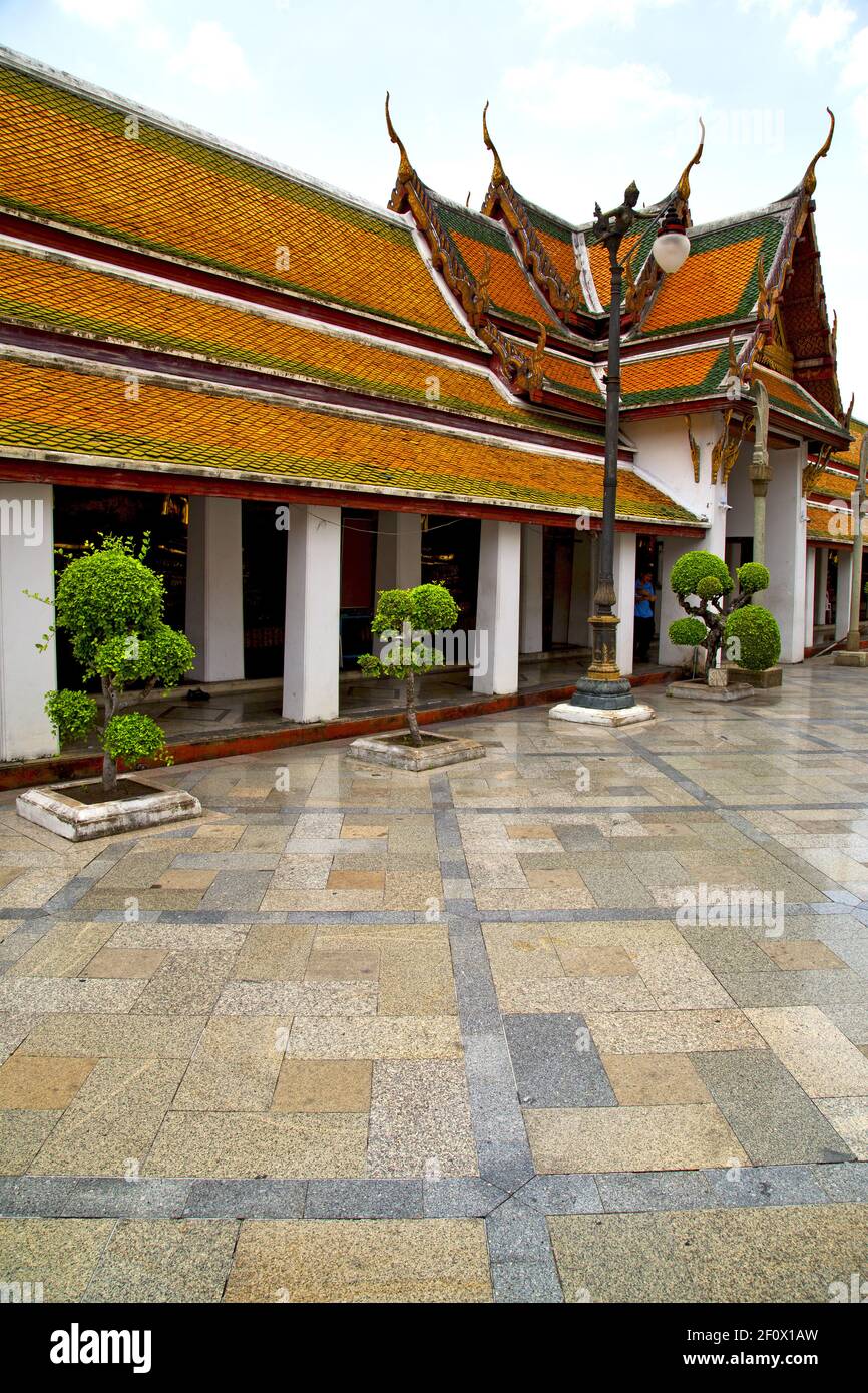 Gold temple bangkok plant pavement Stock Photo - Alamy
