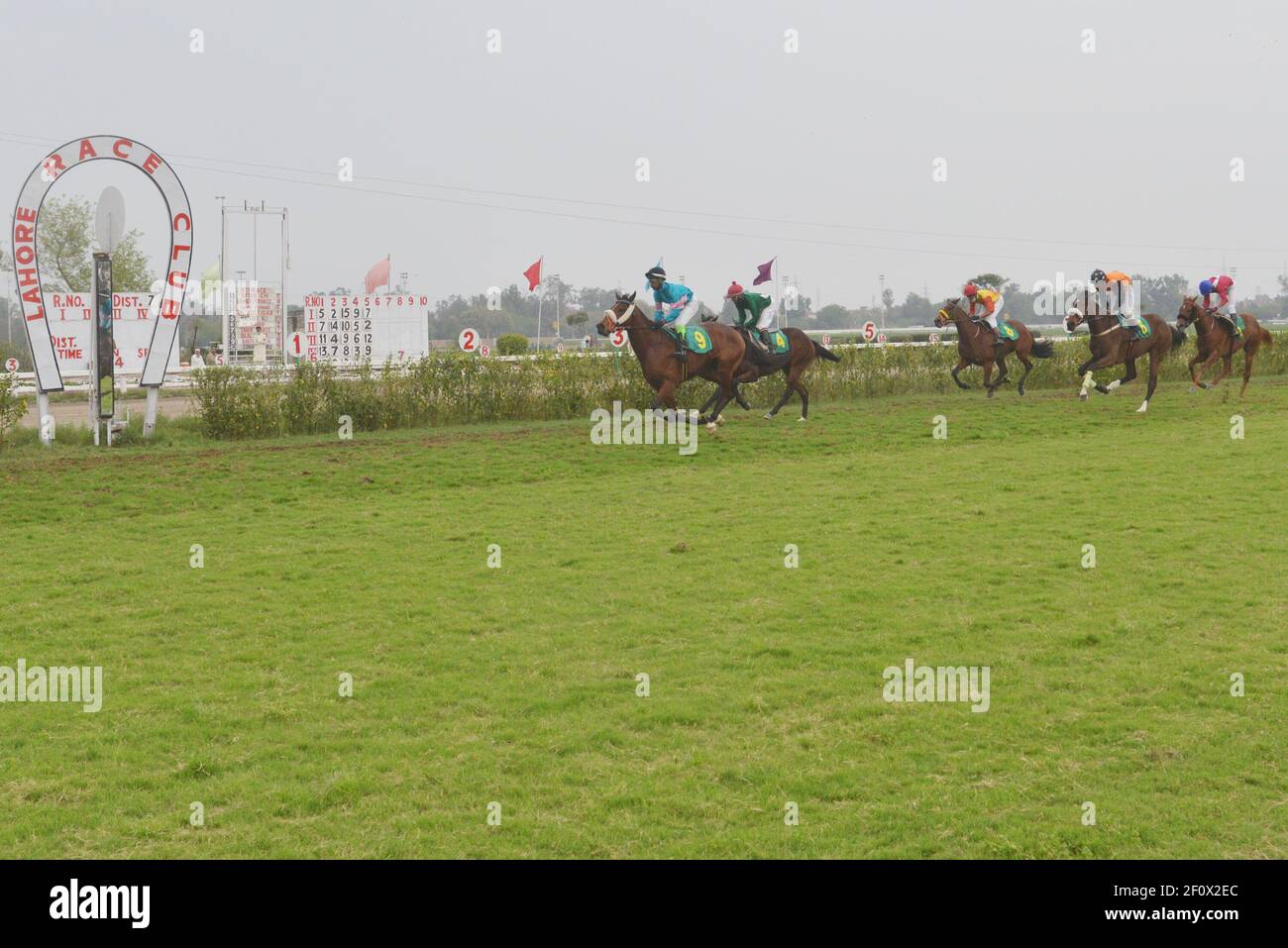 Pakistani horses hi-res stock photography and images - Alamy