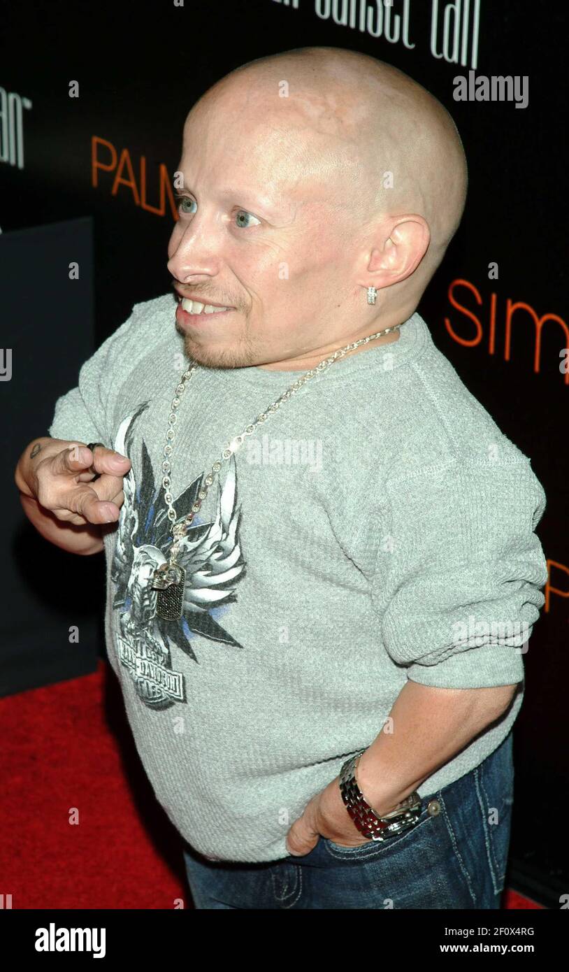 31 May 2008- Lsa Vegas, Nevada-Verne Troyer, "The Love Guru", arriving ...