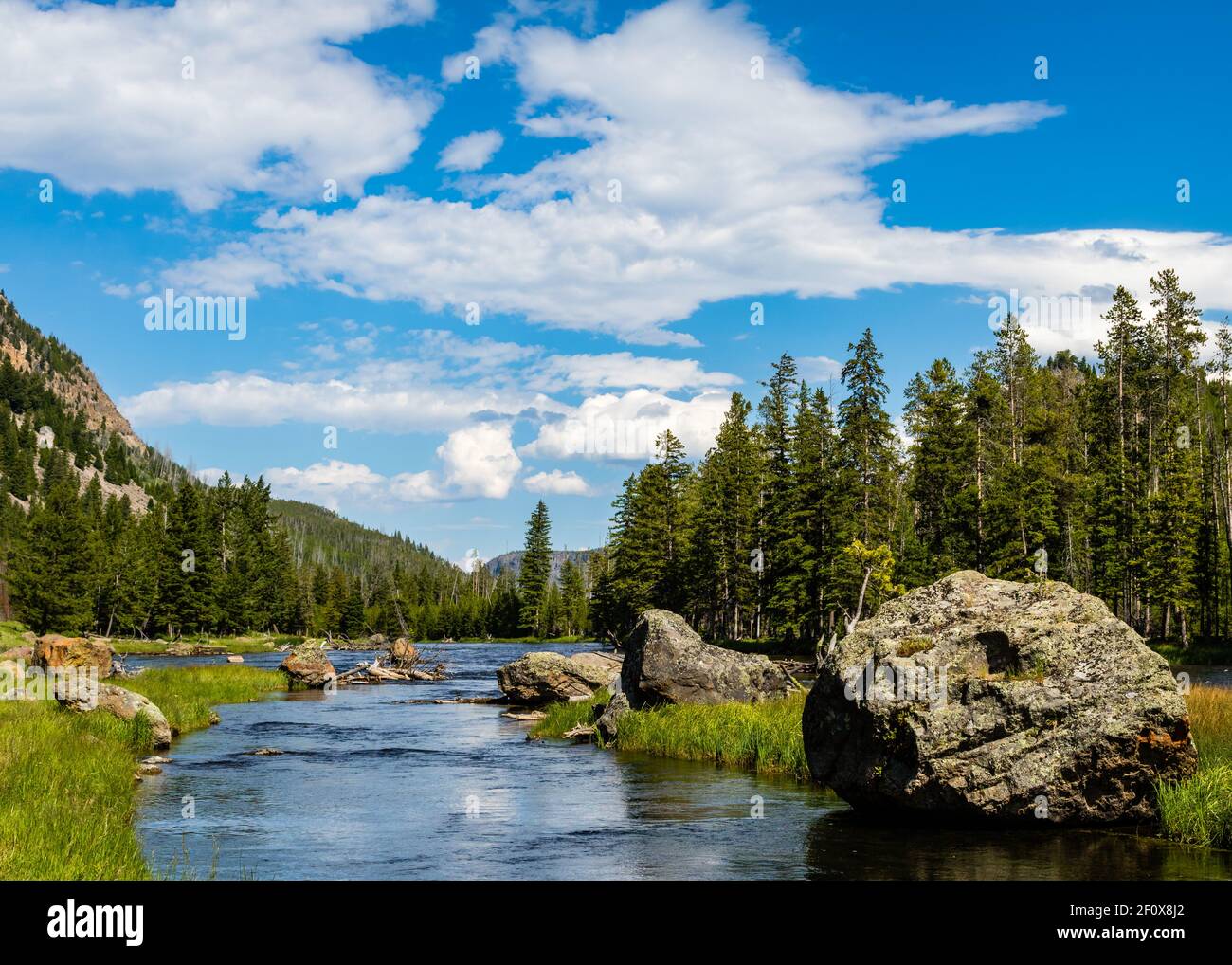 Yellowstone park activities hi-res stock photography and images - Alamy