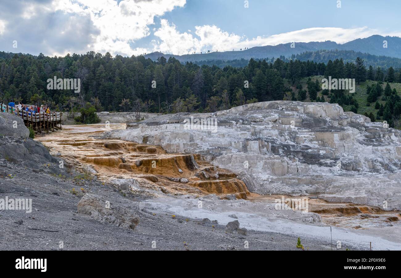 The amazing natural beauty of Yellowstone National Park Stock Photo - Alamy