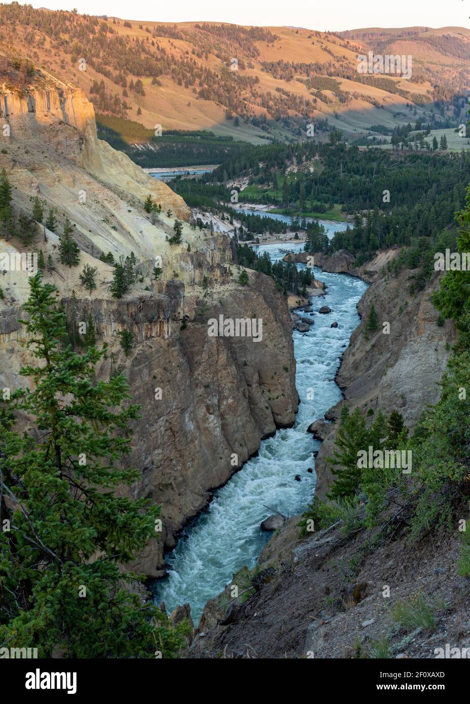 The amazing natural beauty of Yellowstone National Park Stock Photo - Alamy