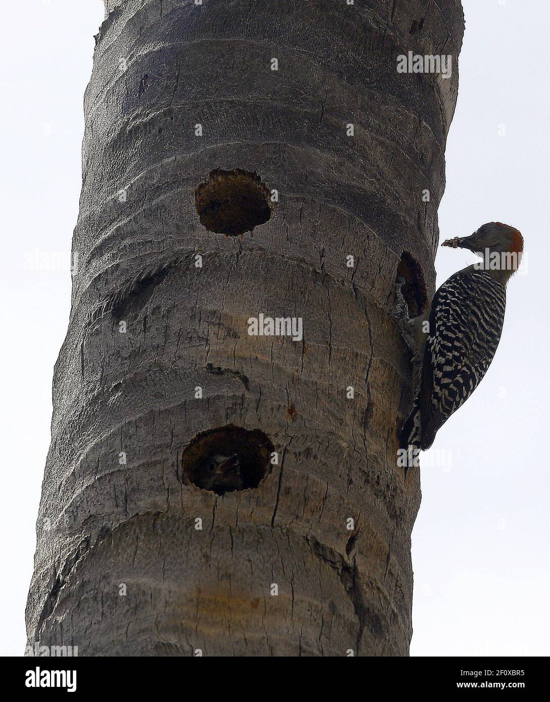 BARCELONA, Anzoategui, Venezuela. 6th Mar, 2021. March 07, 2021 ...