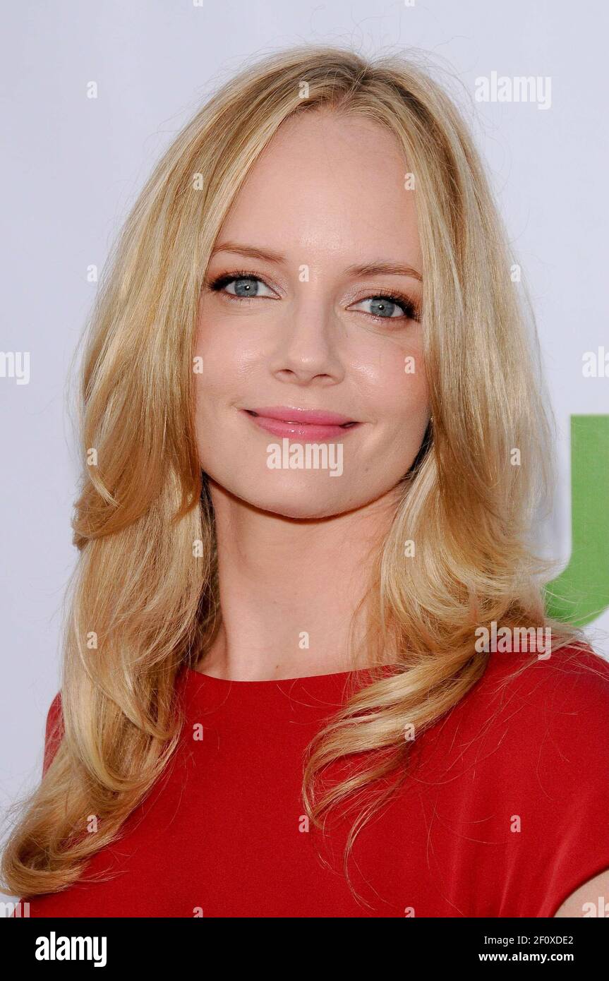 Marley Shelton. 18 July 2008 - Hollywood, California. CBS, CW ...