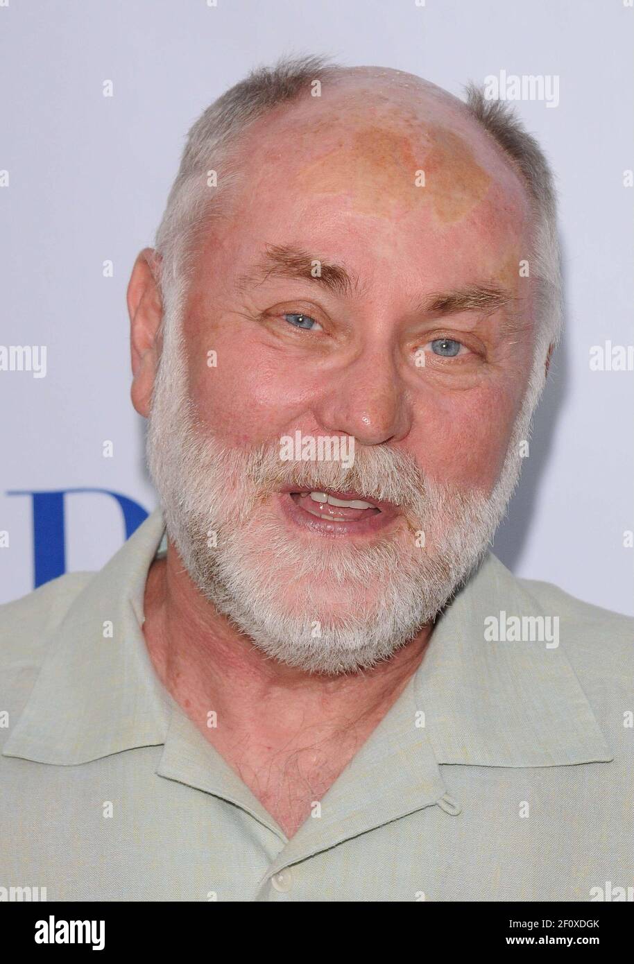 Robert David Hall. 18 July 2008 - Hollywood, California. CBS, CW ...