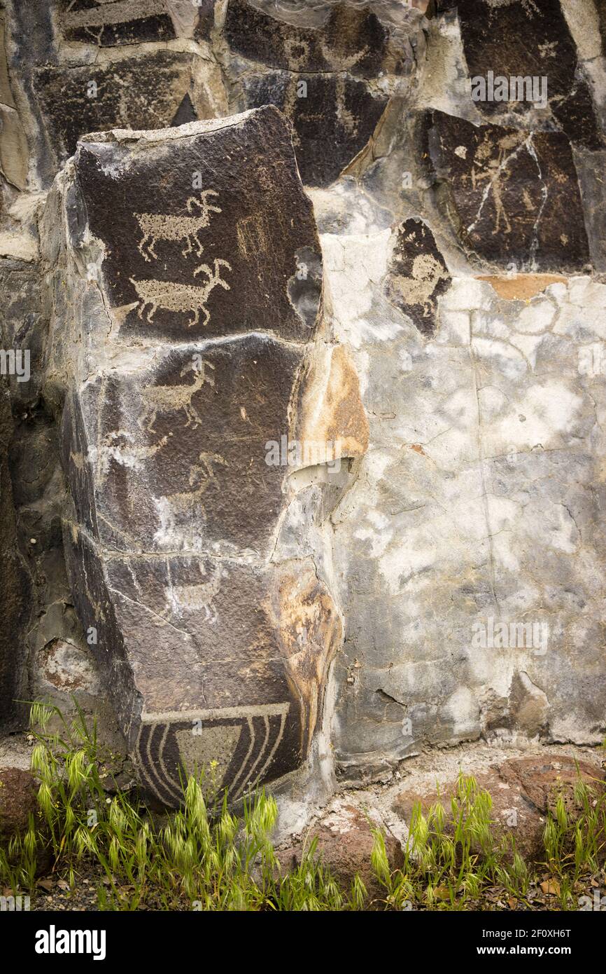 Ancient pictographs rock cave paintings hi-res stock photography and ...