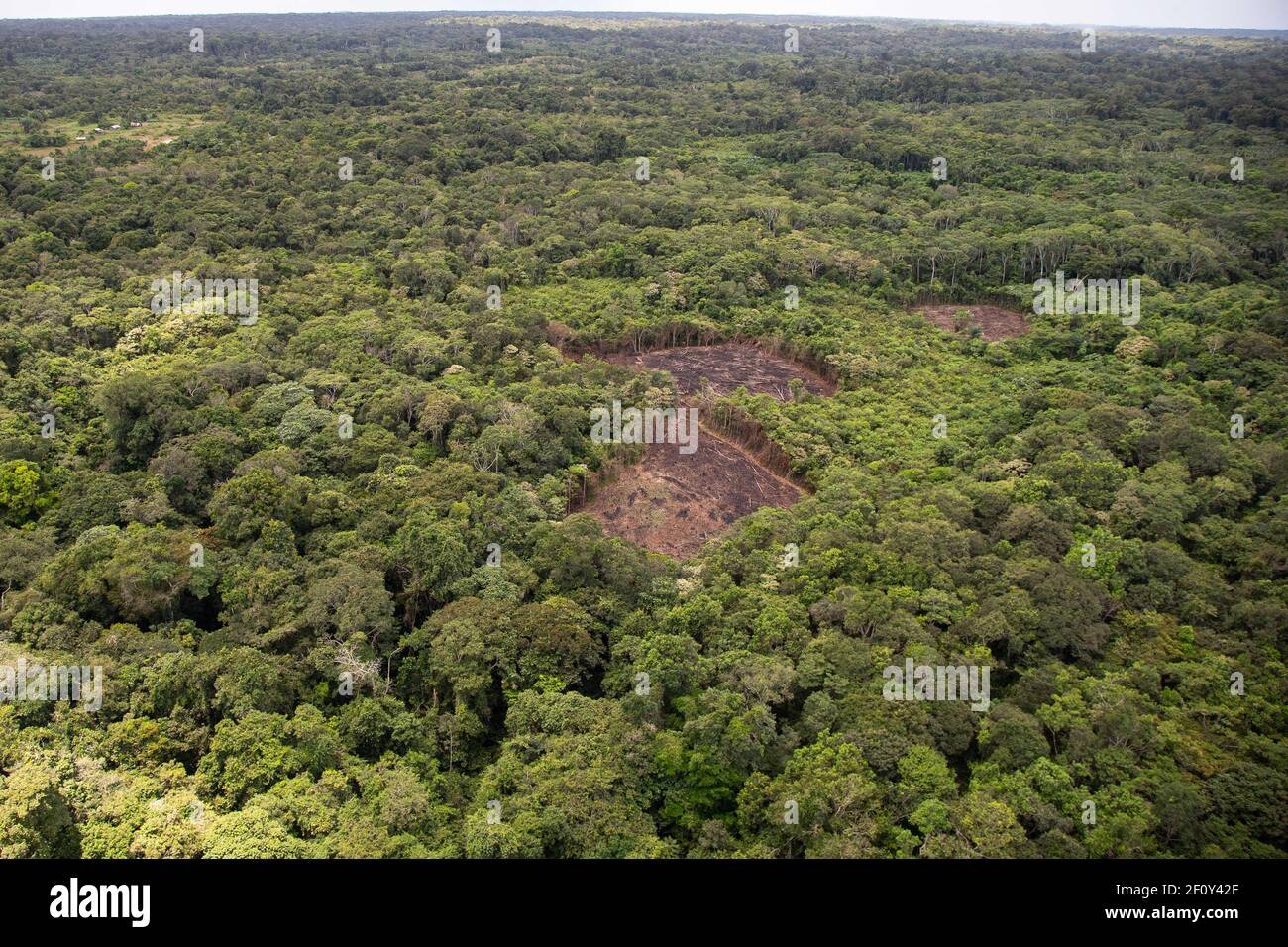 Amazon tribes deforestation hi-res stock photography and images - Alamy