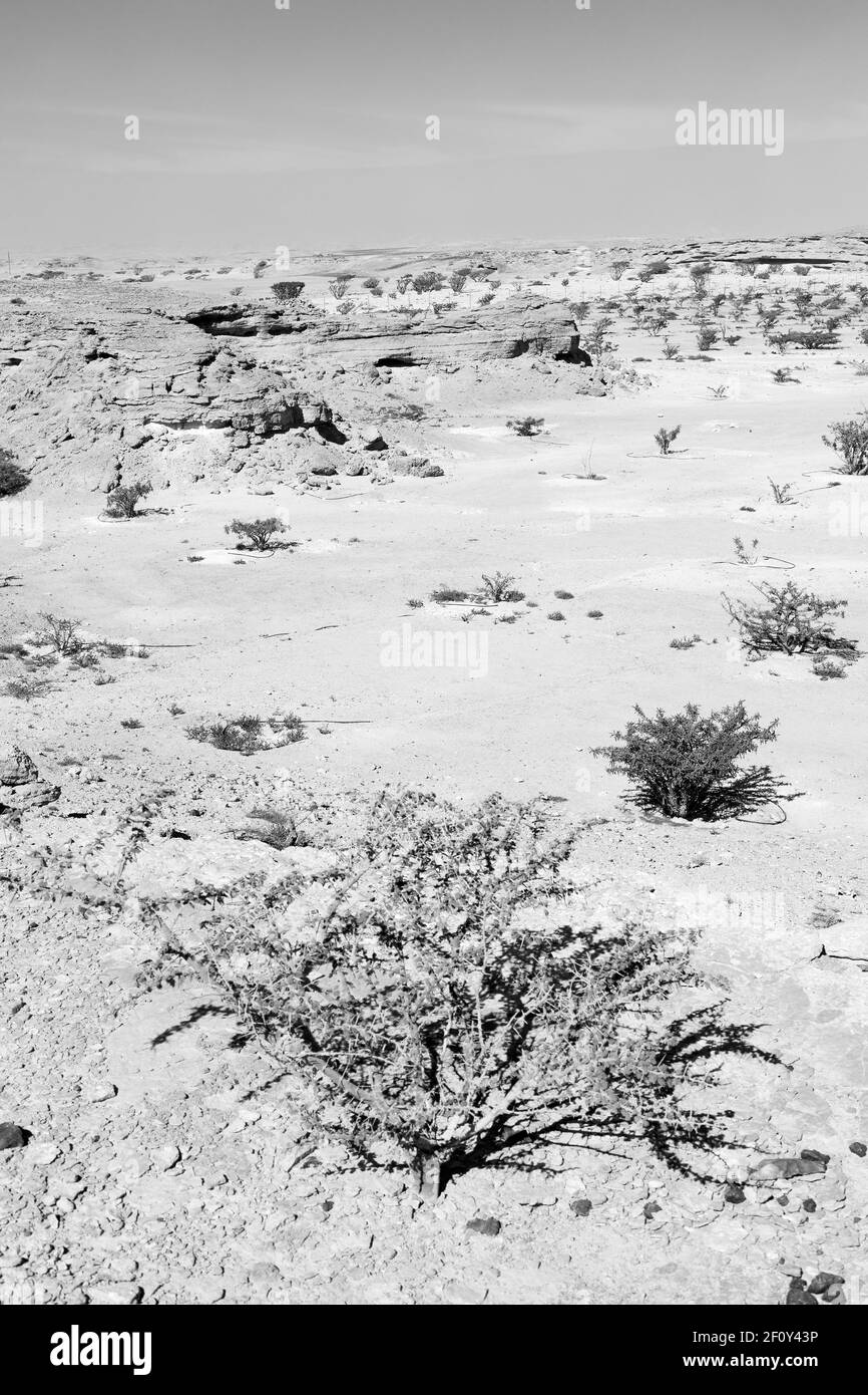 In oman old desert Stock Photo - Alamy