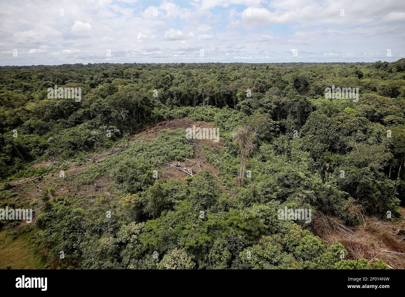 Amazon tribes deforestation hi-res stock photography and images - Alamy