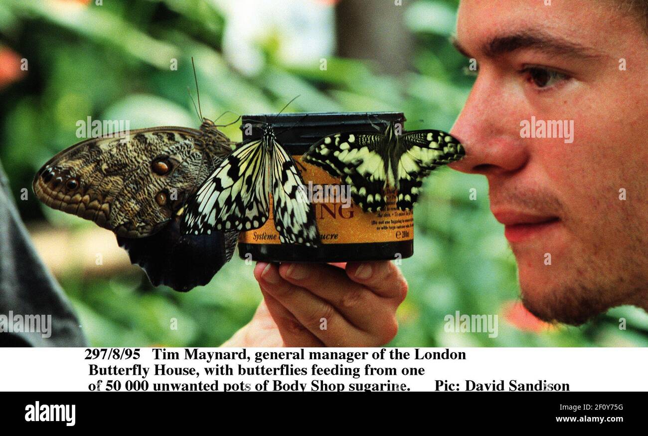 Tim Maynard General Manager Of London Butterfly House Stock Photo - Alamy