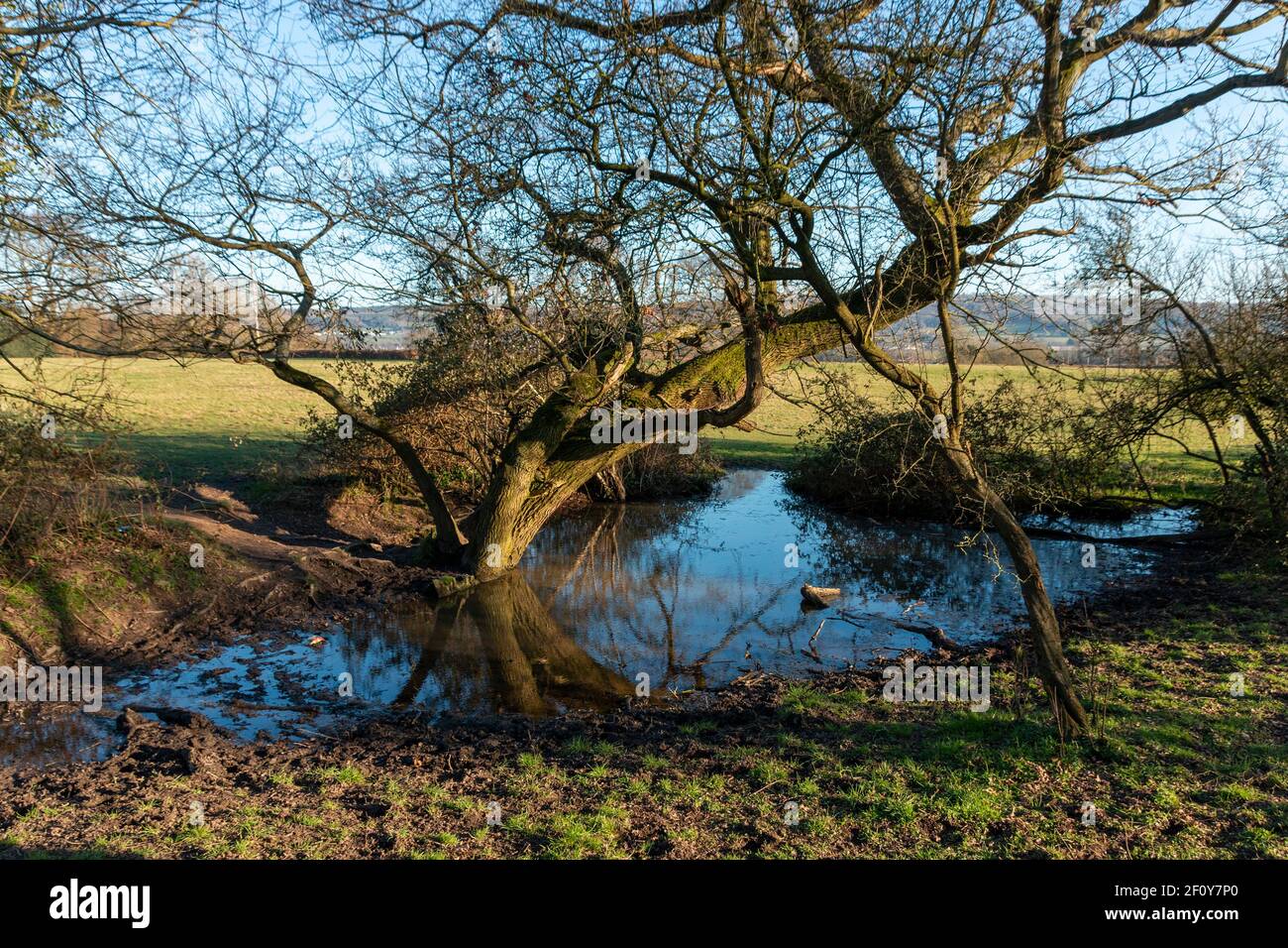 a close up view of a small pond at the bottom of a large open field ...