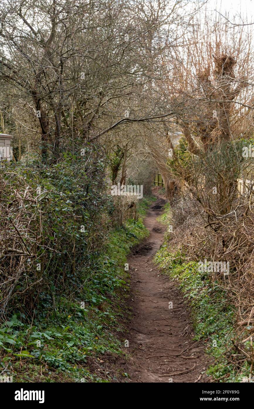 Close up pathway hi-res stock photography and images - Alamy