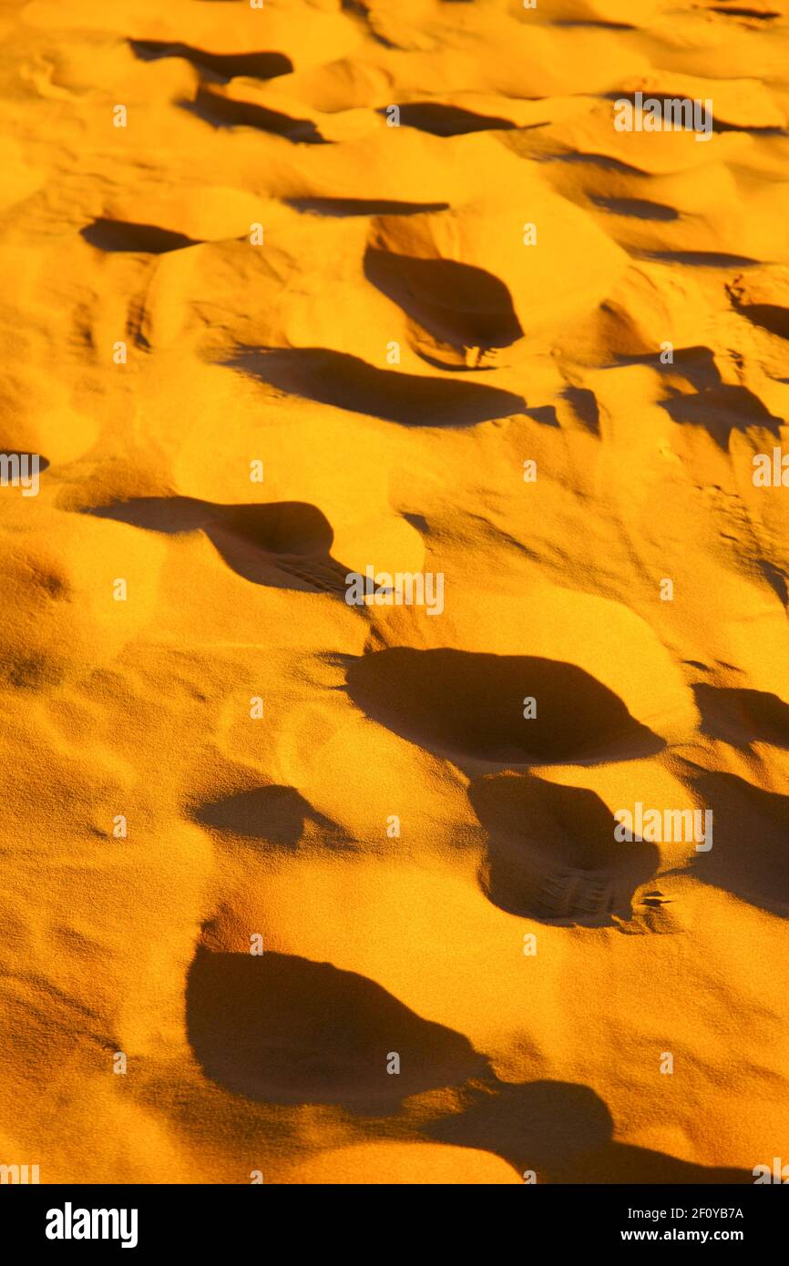 The brown sand dune footstep Stock Photo - Alamy