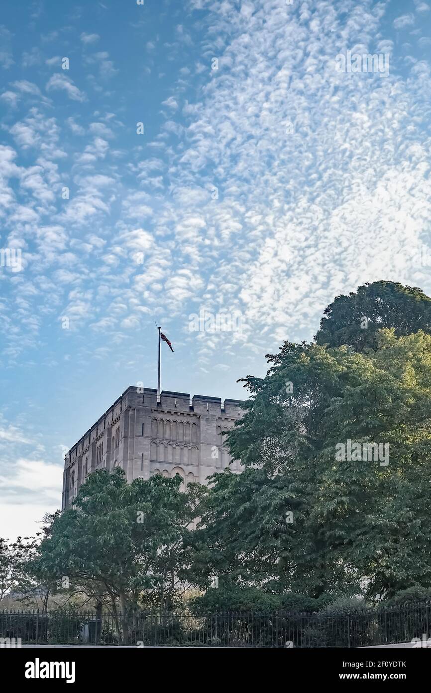 Medieval castle behind the trees in the city of Norwich in Norfolk ...