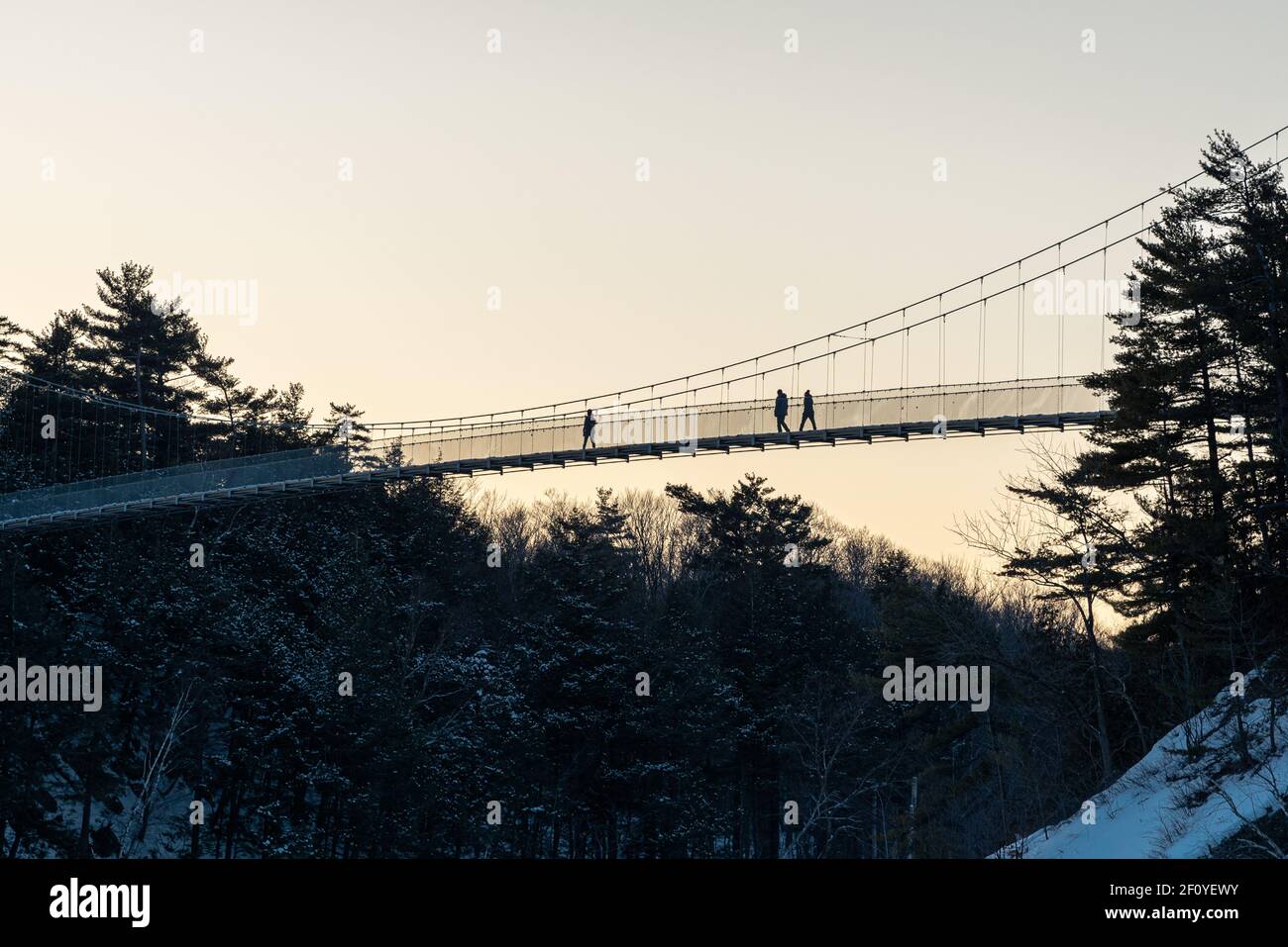 View at the sunset of the pedestrian bridge of the park of the ...