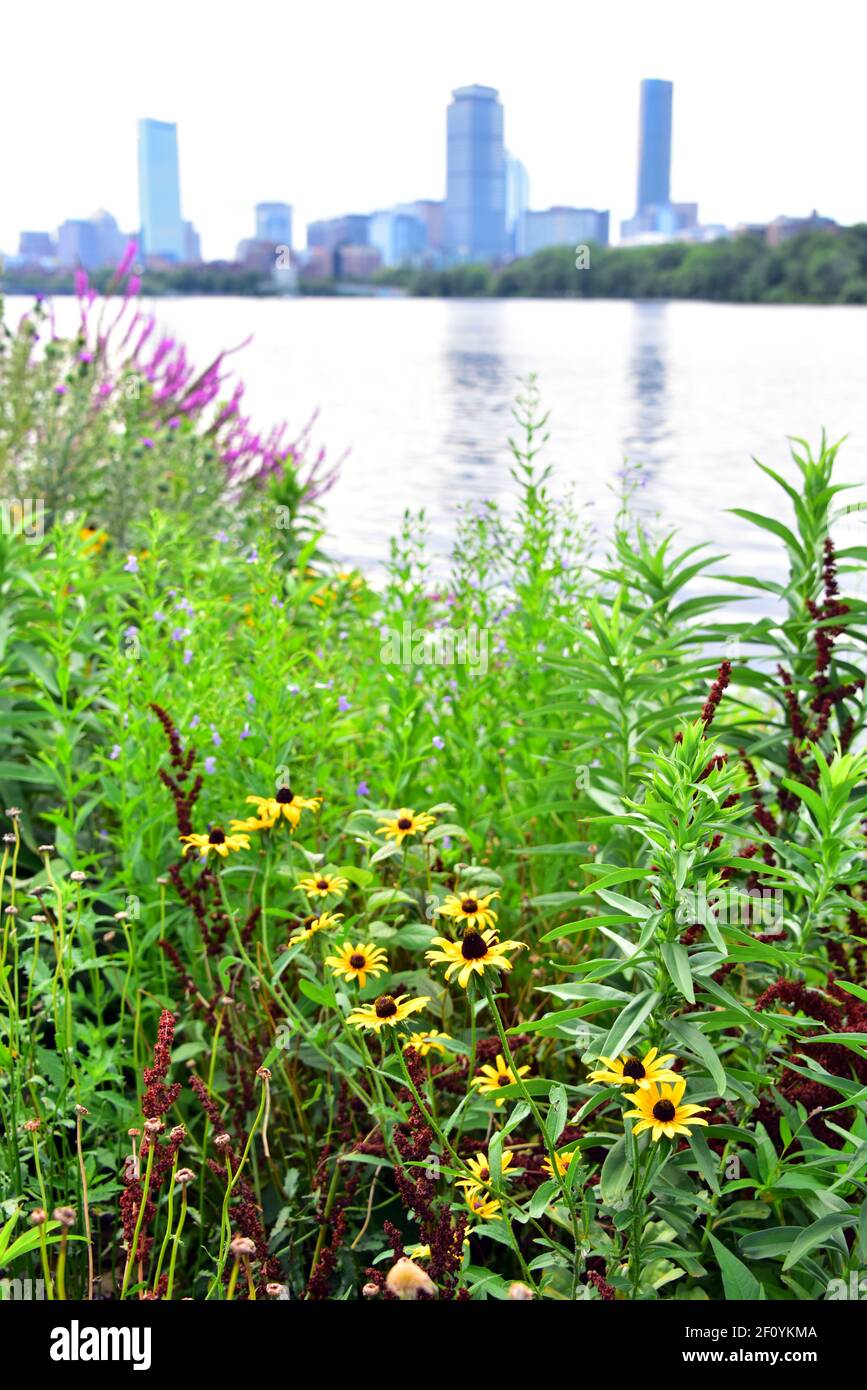 Various Boston waterscapes Stock Photo - Alamy