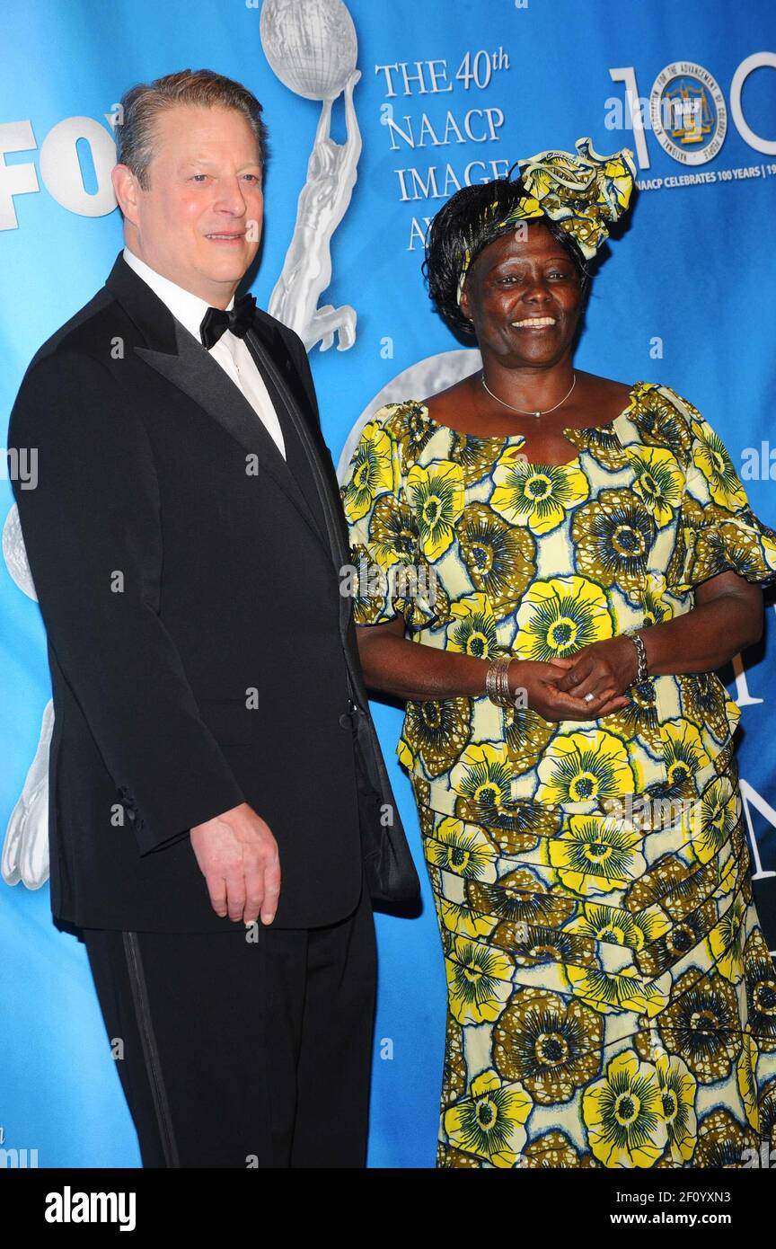 Chairman Award recipients Al Gore and Wangari Muta Maathai. 12 February ...