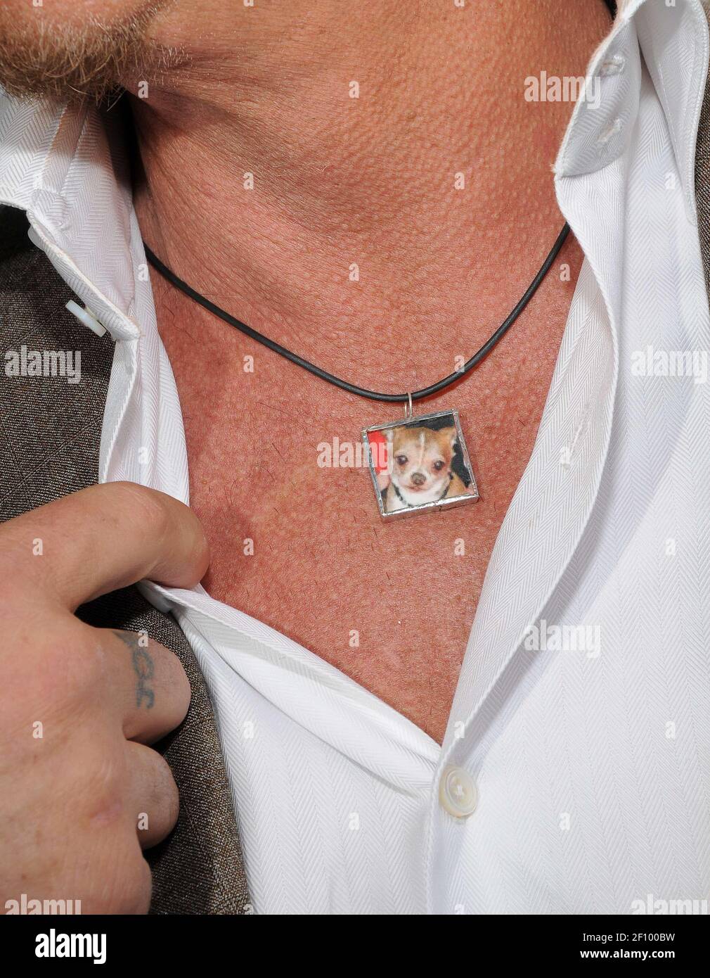 Mickey Rourke showing Loki's picture. 21 February 2009, Santa Monica ...
