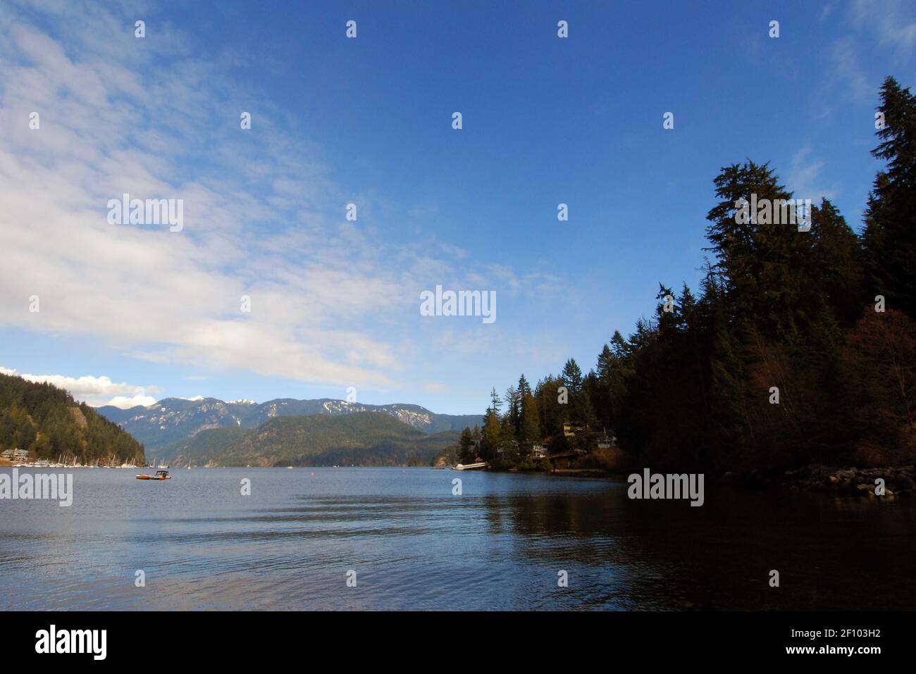 Indian arm hi-res stock photography and images - Alamy