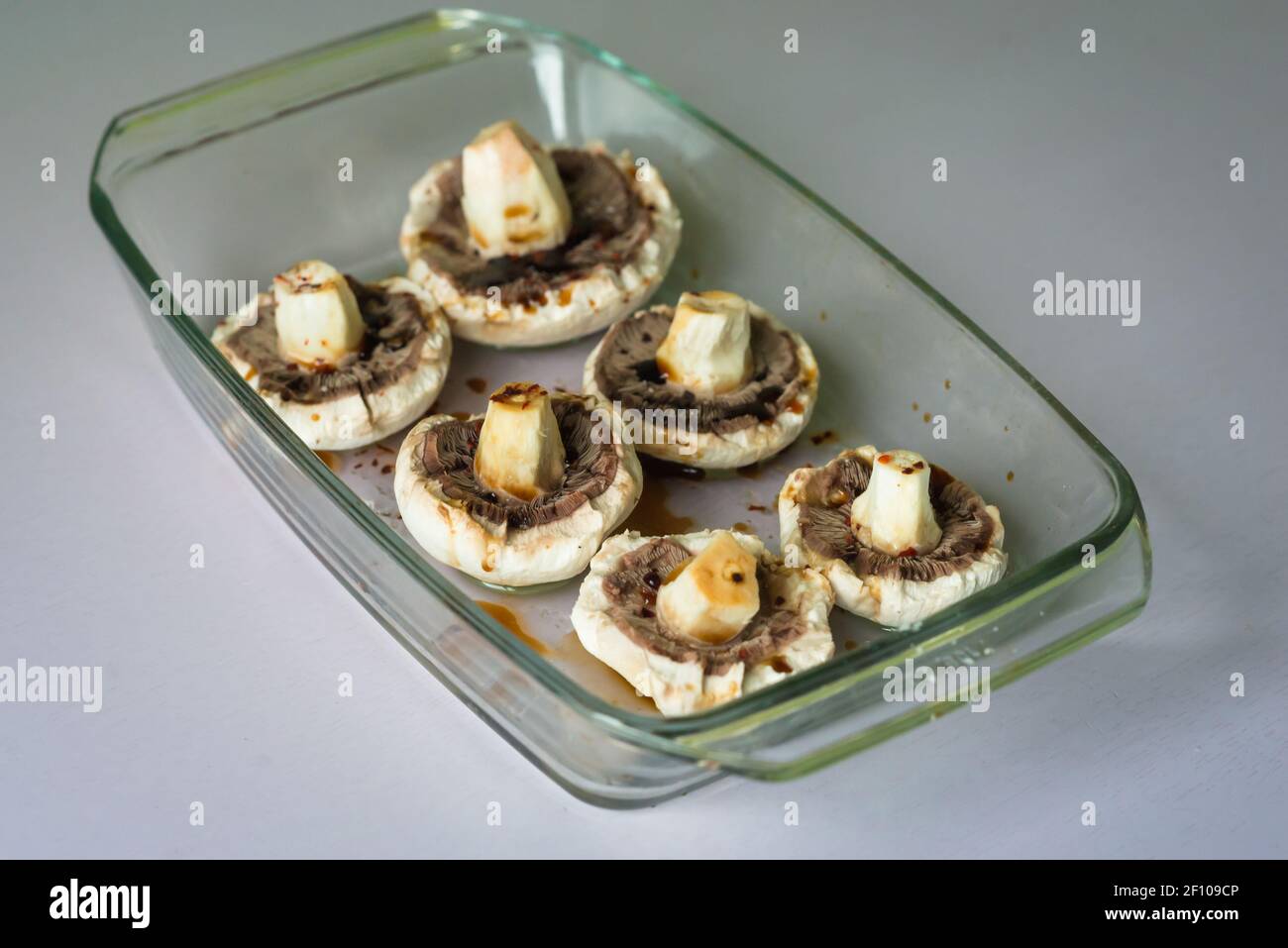 Glass fungi hi-res stock photography and images - Alamy